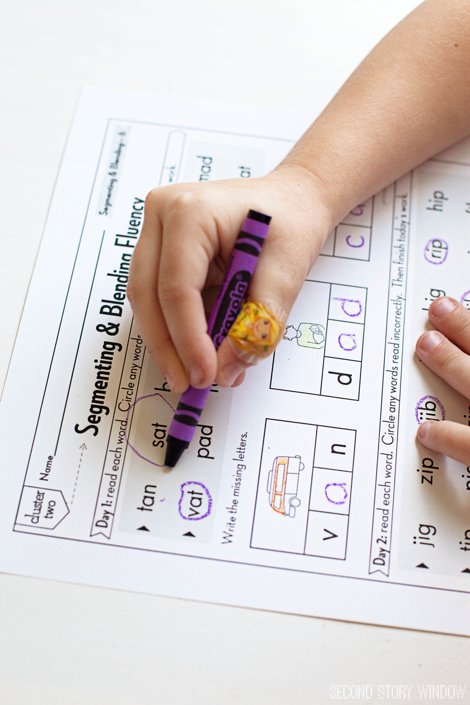 Beginning Fluency: Segmenting & Blending (SBF)