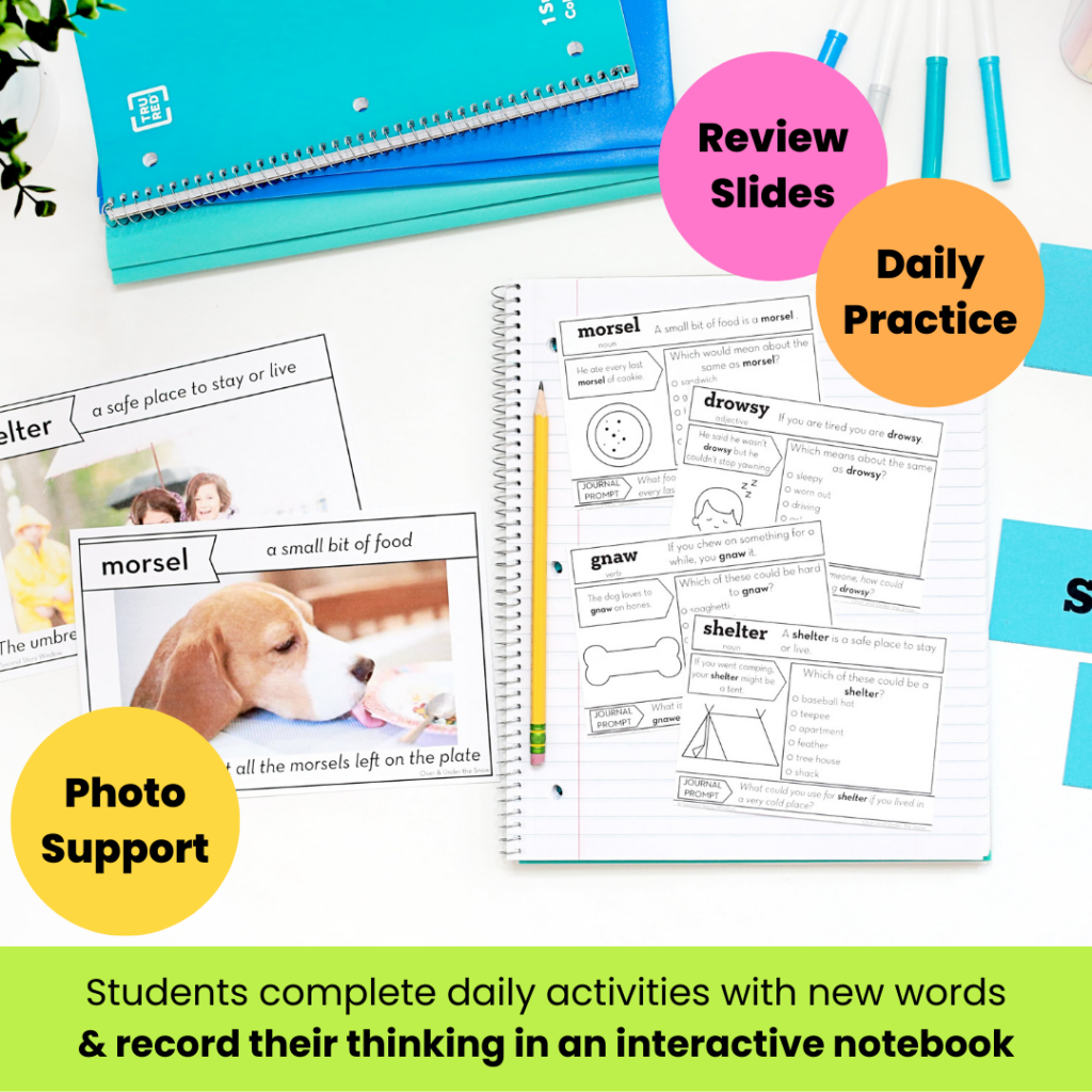 Vocabulary Lesson Plans & Activities w Read Alouds