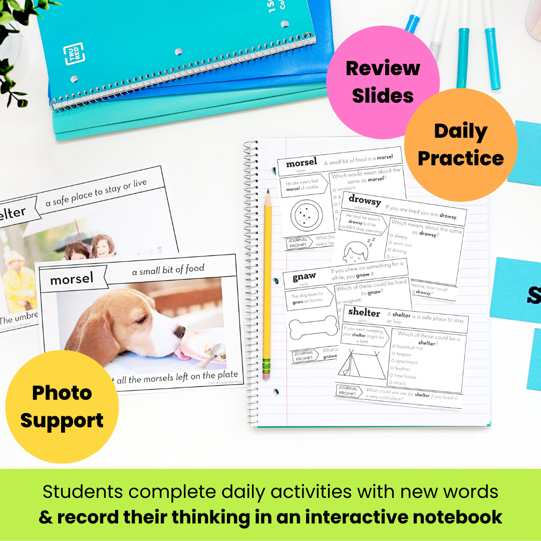 Vocabulary Lesson Plans & Activities w Read Alouds