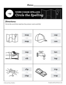 AP Word Family Worksheets & Spelling Activities NO PREP