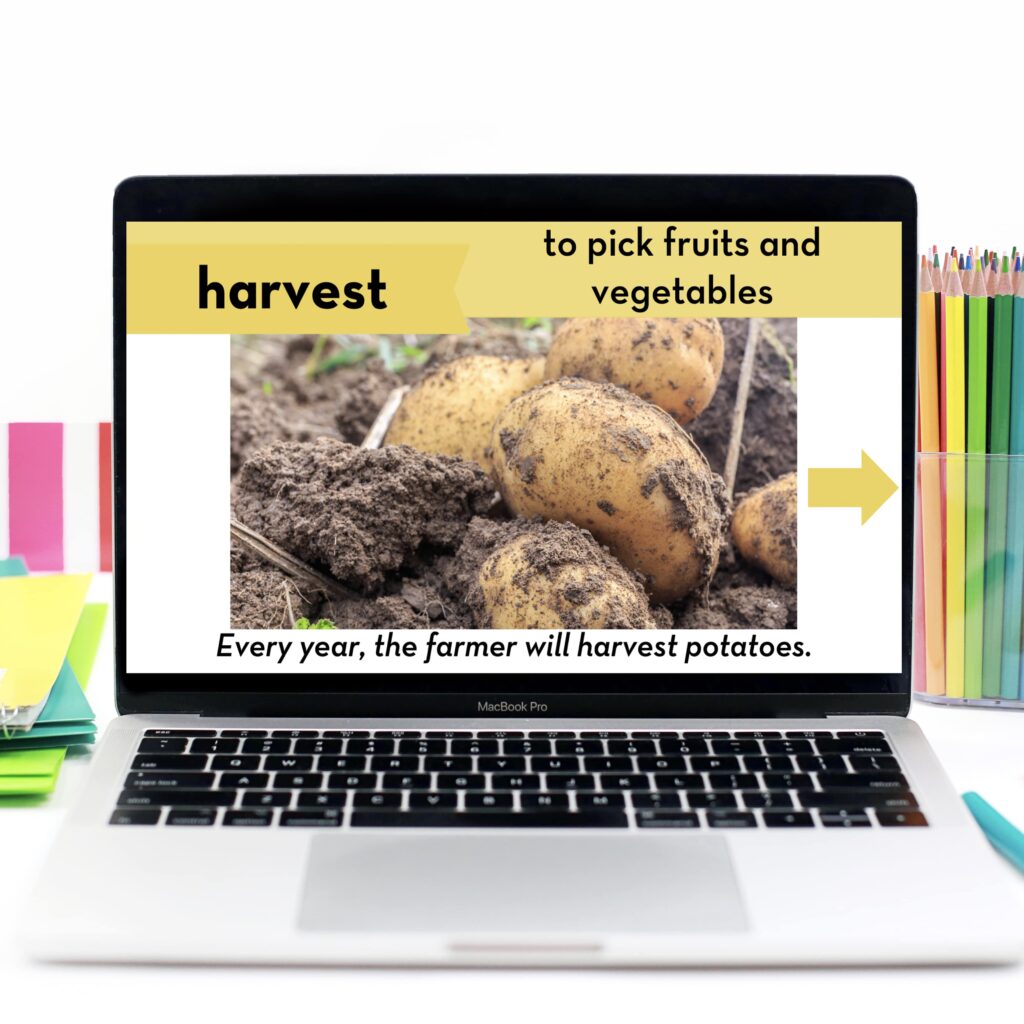 Tops and Bottoms Vocabulary - Read Aloud Lesson and Activities - Second ...