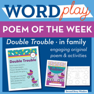 Double Trouble - in Word Family Poem of the Week - Short Vowel I ...