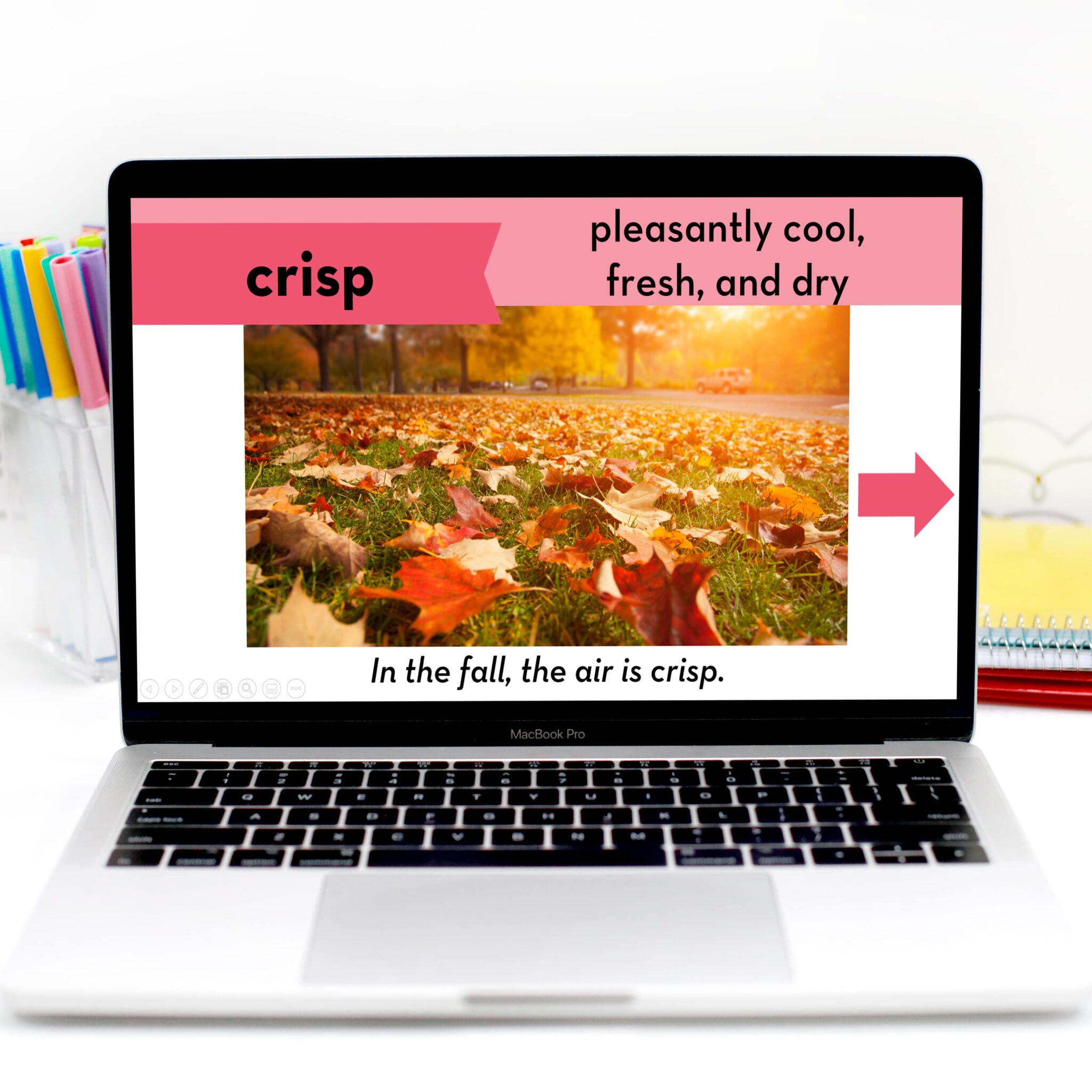 Let it Fall Vocabulary | Read Aloud Lesson and Activities - Second ...