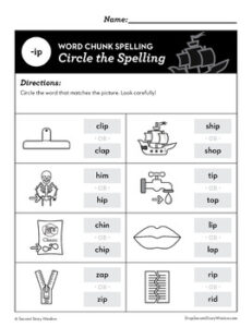 -Ip Word Family Worksheets No Prep Short Vowel I Chunk Spelling ...