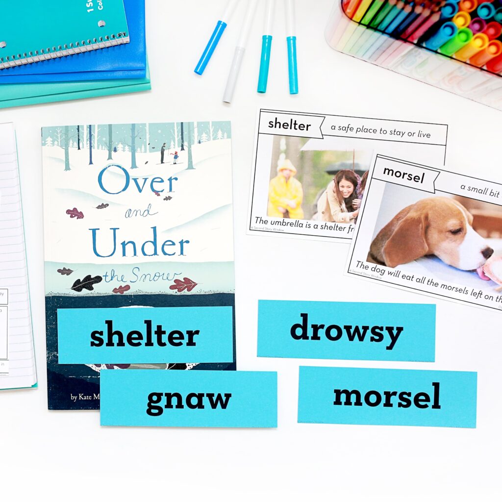 Over and Under the Snow Vocabulary - Second Story Window