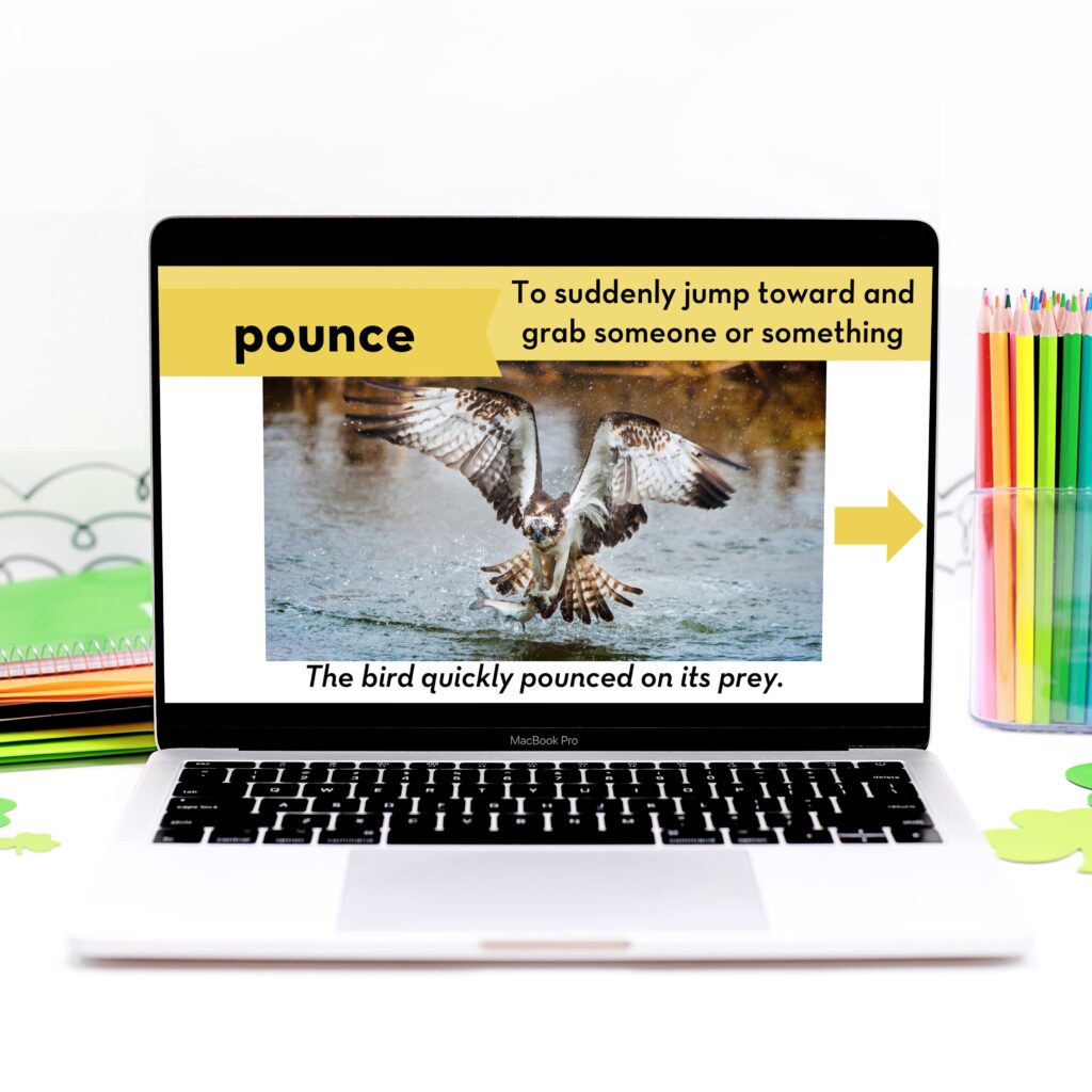 Puddles Vocabulary - Second Story Window