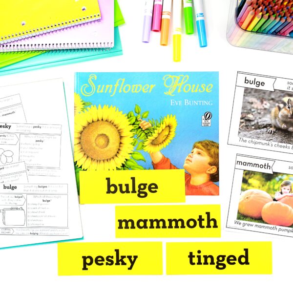 Sunflower House Vocabulary - Read Aloud Lesson and Activity - Second ...