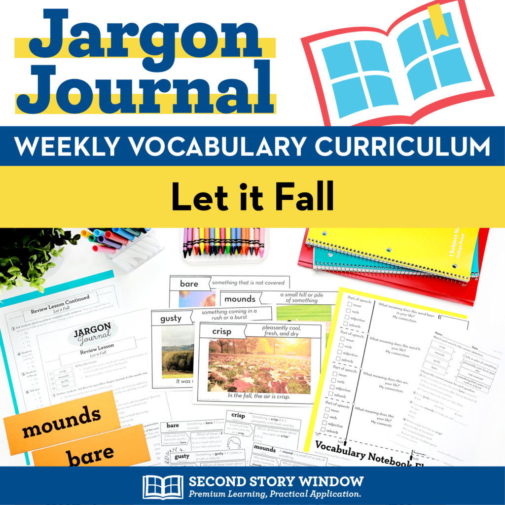 Let it Fall Vocabulary | Read Aloud Lesson and Activities - Second ...