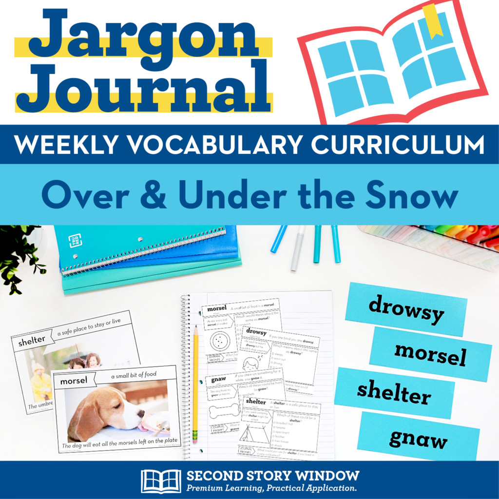 Over and Under the Snow Vocabulary - Second Story Window