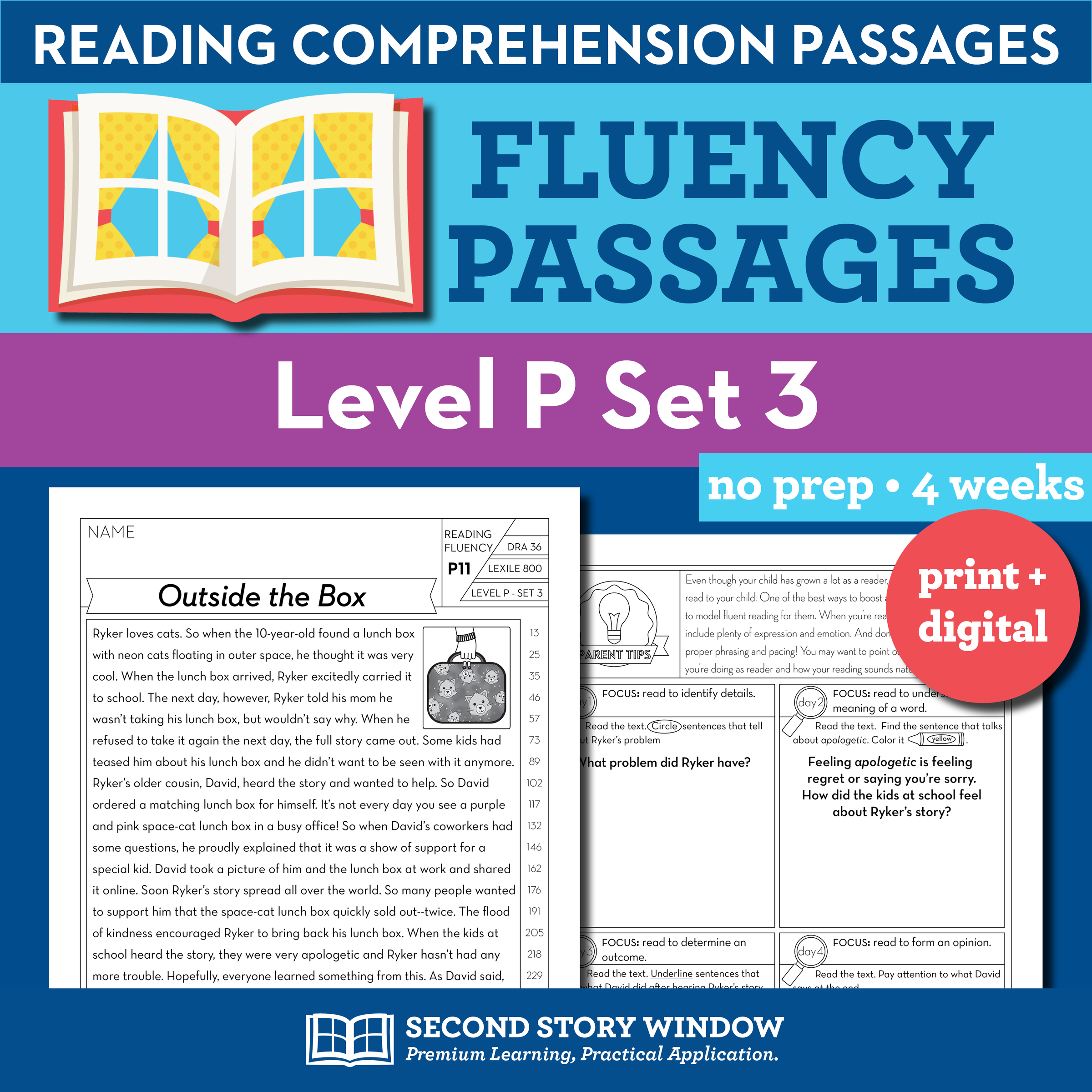 Reading Fluency Homework Level P Set 3 - Second Story Window