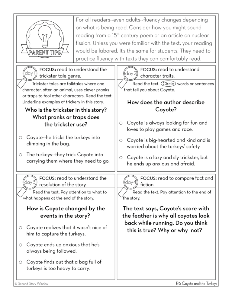 Reading Fluency Homework Level R Set 2 - Second Story Window