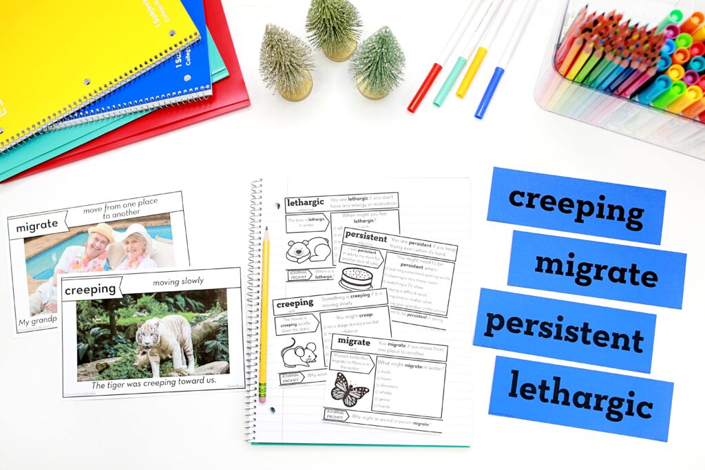 Christmas Activities • Santa Bruce Vocabulary and Read Aloud Lesson ...